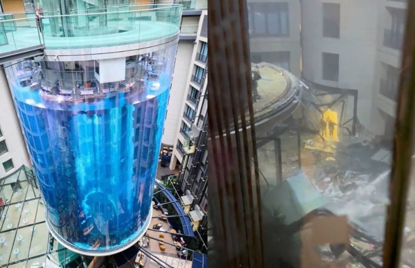 Sea Life, esploso il più grande acquario cilindrico del mondo: morti 1. ...